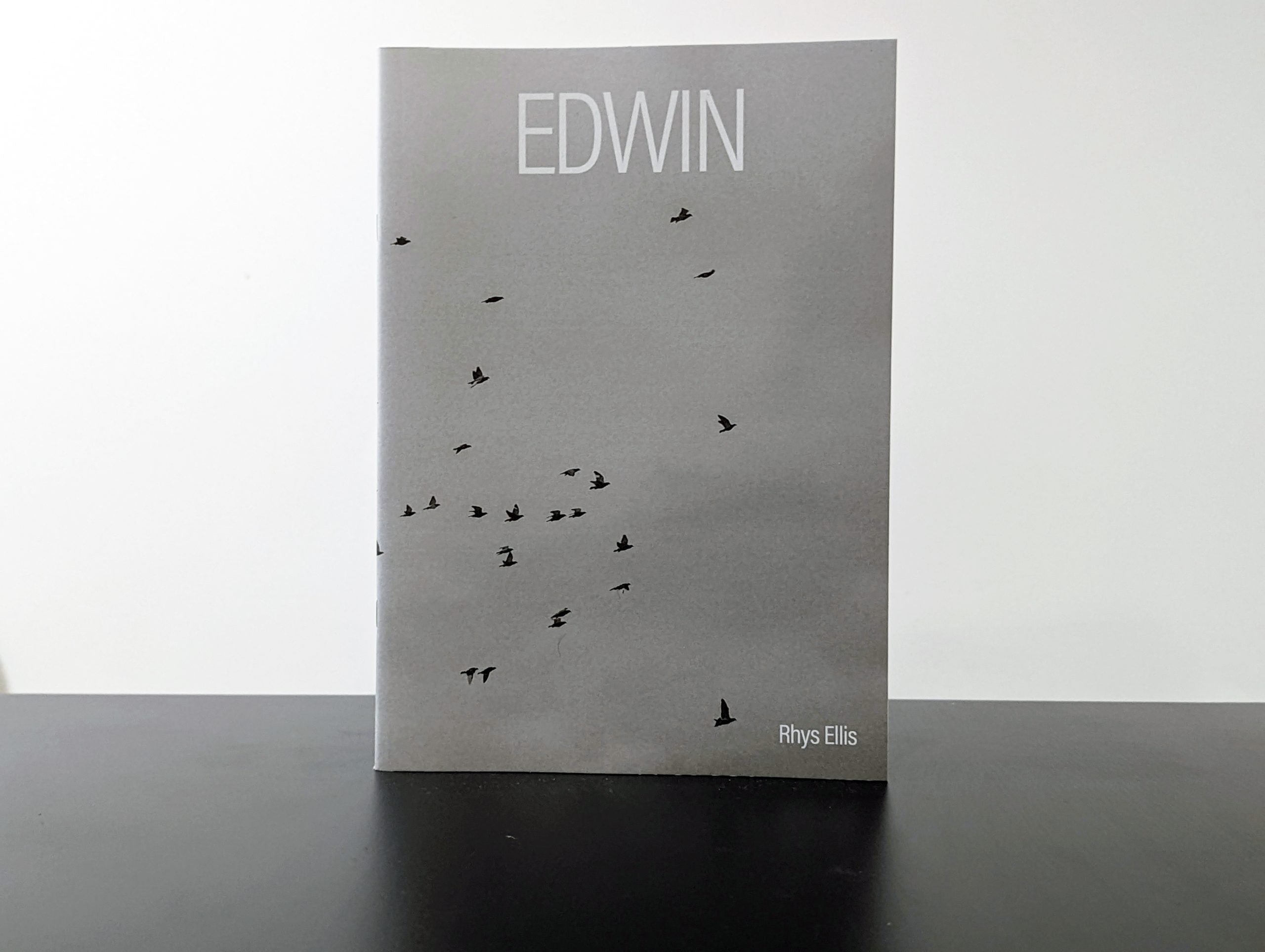 Edwin — Rhys Ellis – Dead Ink Bookshop